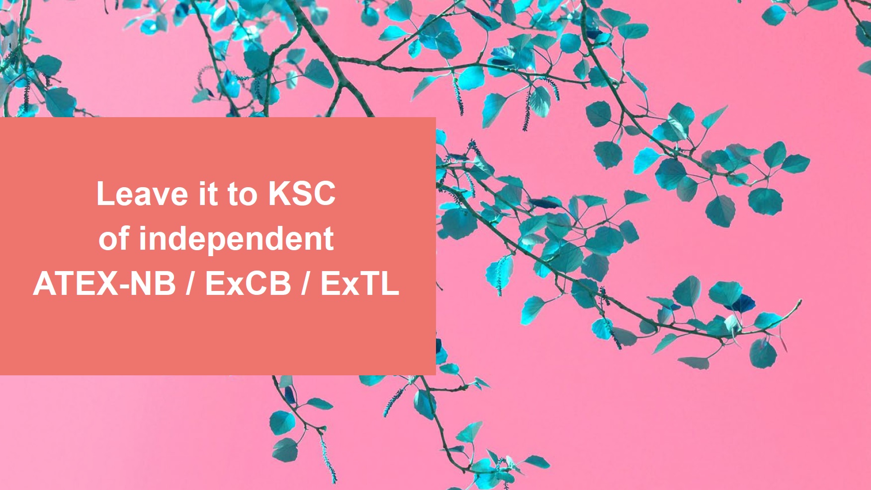 KSC JAPAN:ATEX-NB,IECEx-CB/TL,JPEx | Certification Japan office for Explosion proof of Hazardous ...