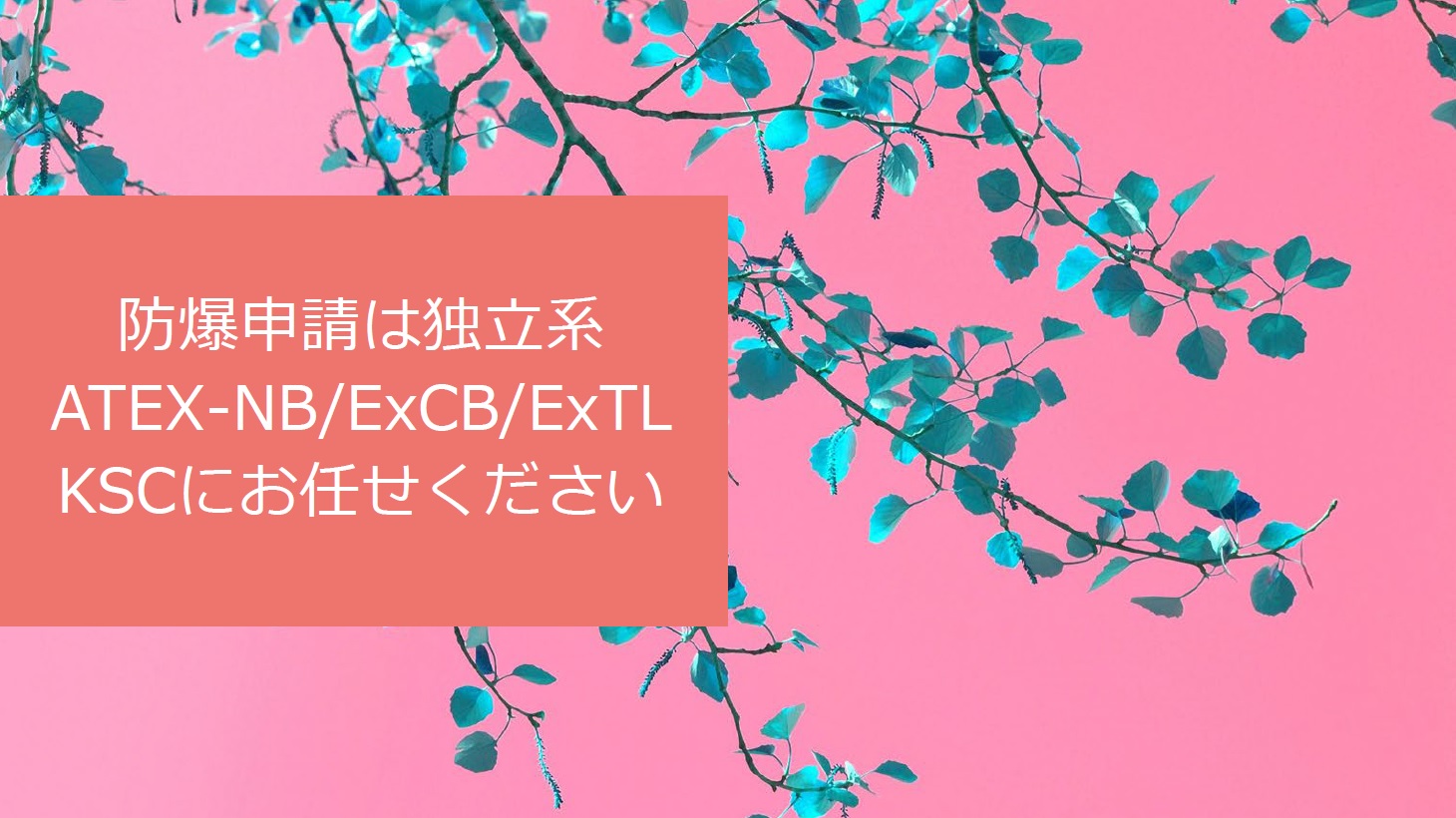 KSC JAPAN:ATEX-NB,IECEx-CB/TL,JPEx | Certification Japan office for ...