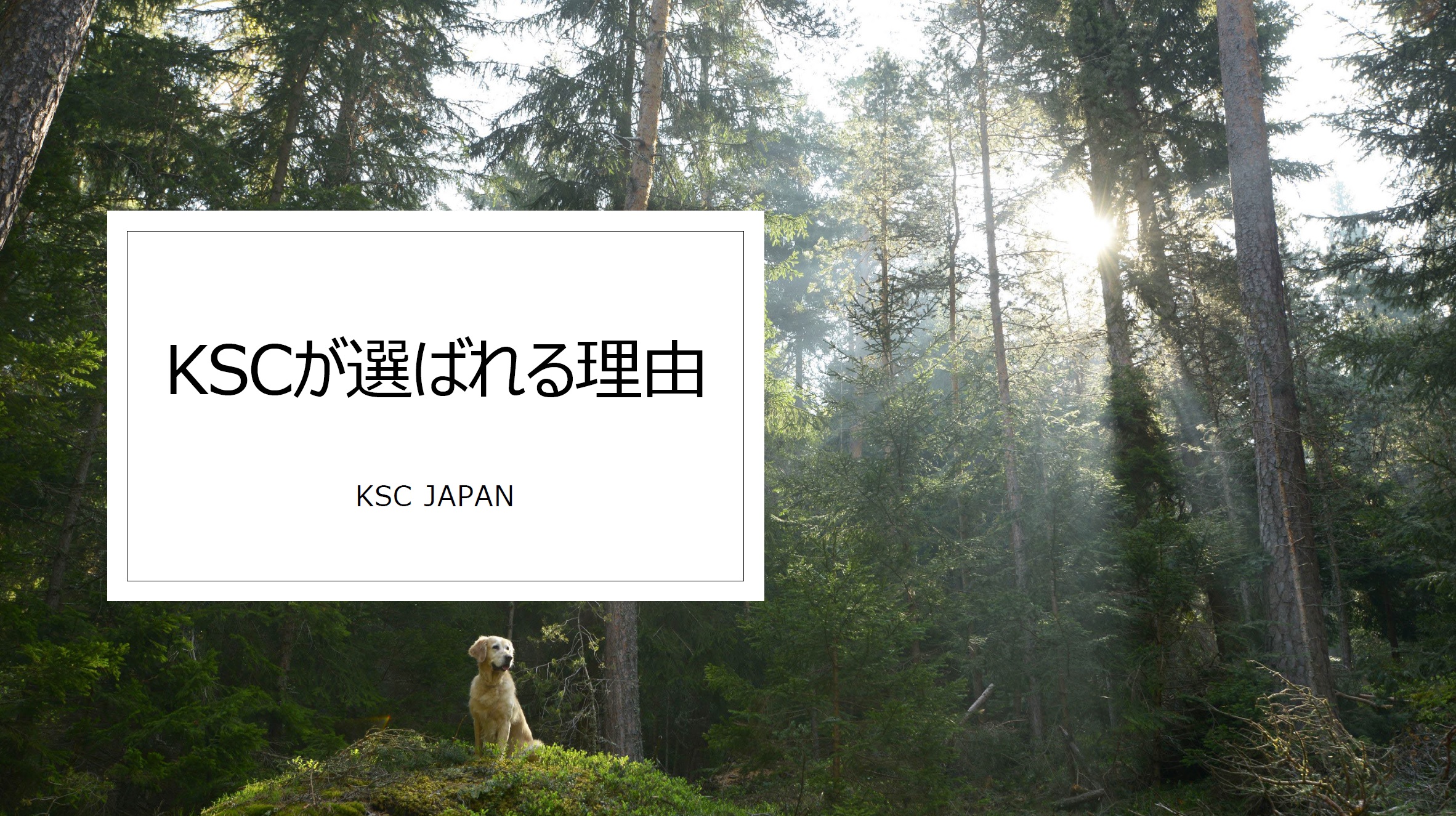 KSC JAPANは第三者認証機関ATEX-NB IECEx-CBの日本事務所です。 - KSC JAPAN